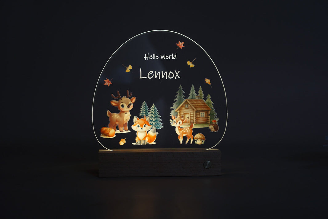 Personalized Gift | Acrylic LED Night Light – The Chic Habitat